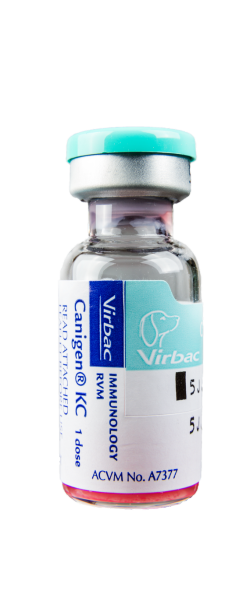 Canigen® KC - Injectible canine cough vaccine | Virbac